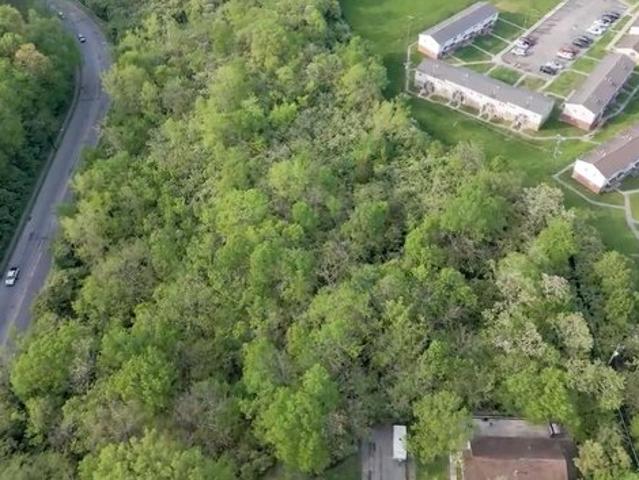 256 Nottingham Rd, Cincinnati, OH 45225