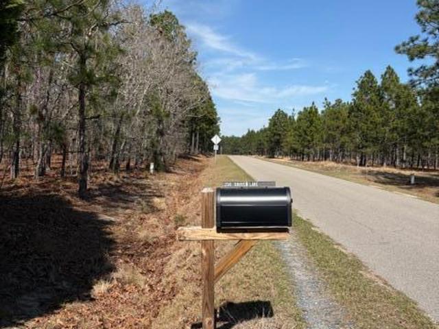 256 Shaver Ln, Jackson Springs, NC 27281 | MLS #100564