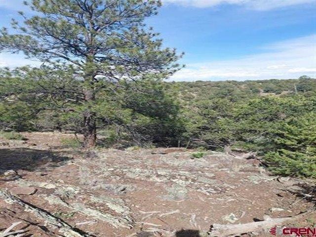 256 Sunrise Rd, South Fork, CO 81154