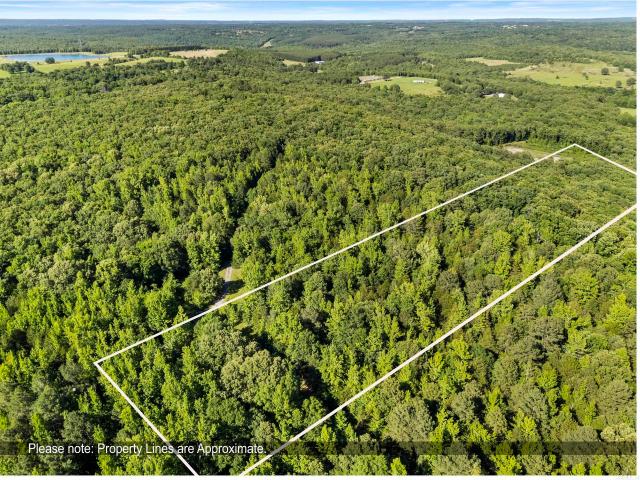 256 Rambo Loop