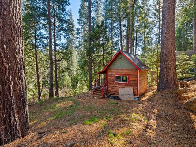 25777 Long Barn Sugar Pine Rd, Long Barn, CA 95335 | MLS #41119