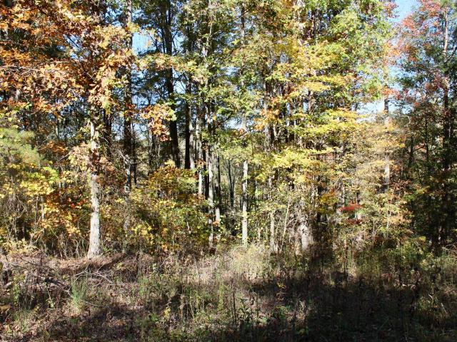 2577 Hazel Patch Road