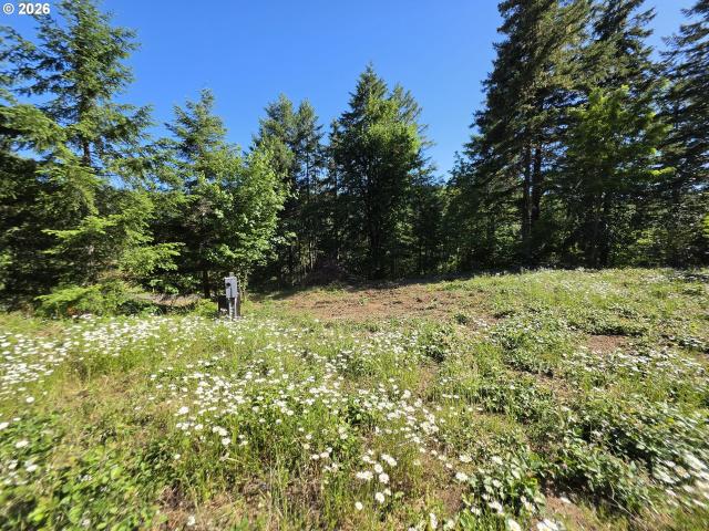 25797 siuslaw river rd