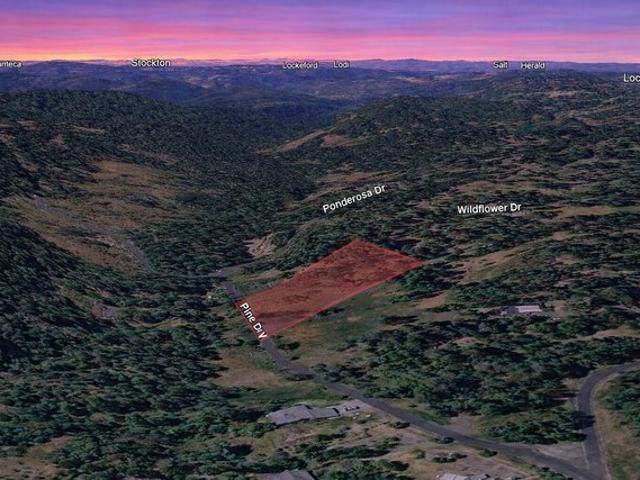 25700 Wildflower Dr, Pioneer, CA 95666