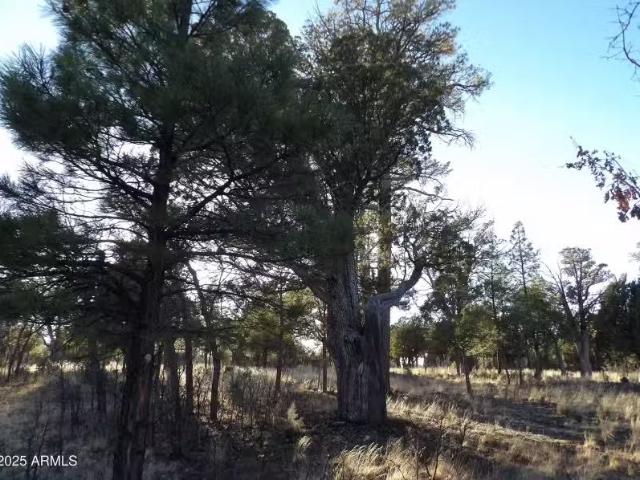 2570 Kettle, Happy Jack, AZ 86024 MLS 6818701