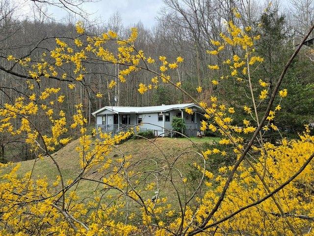 2572 South Skeenah Rd, Franklin, NC 28734