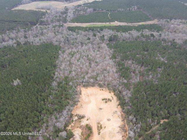 2573 SE Pricedale Dr, Bogue Chitto, MS 39629