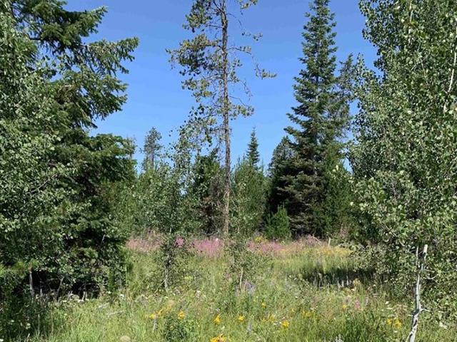 257 Bald Eagle Ln, Donnelly, ID 83615