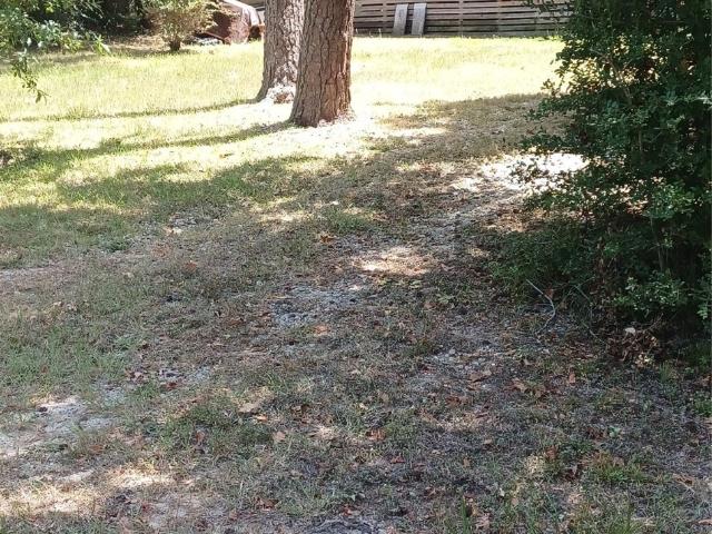 257 Hollow Oak