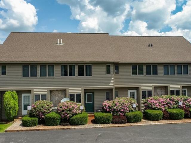 257 Marsh Hill Rd Unit 11, McHenry, MD 21541