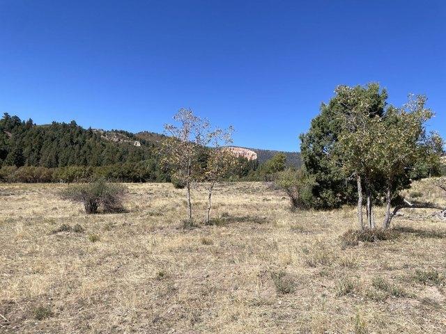 257 N Gobbler Loop, Duck Creek Village, UT 84762