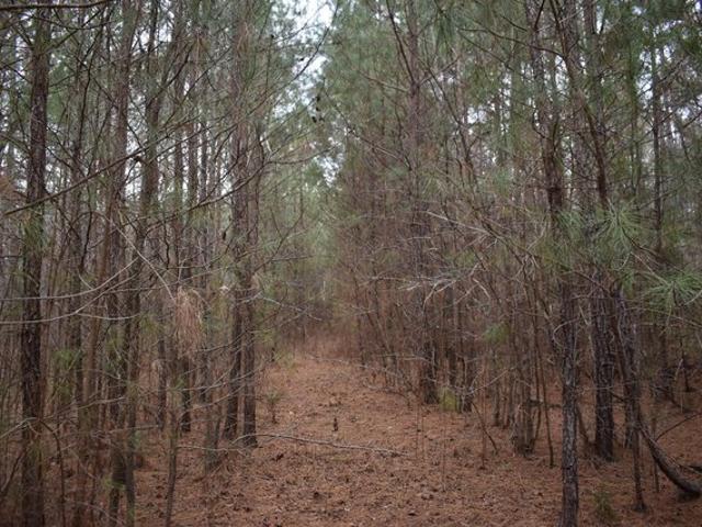 257 Piney Grove Church Rd, Siler City, NC 27344