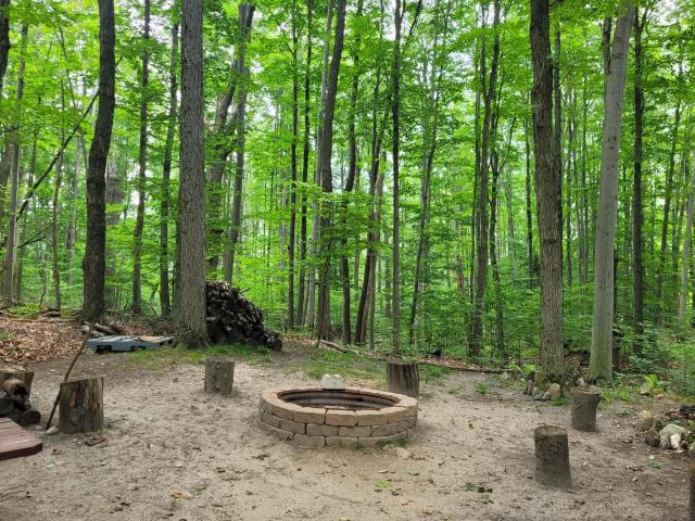 257 W Forest Trail