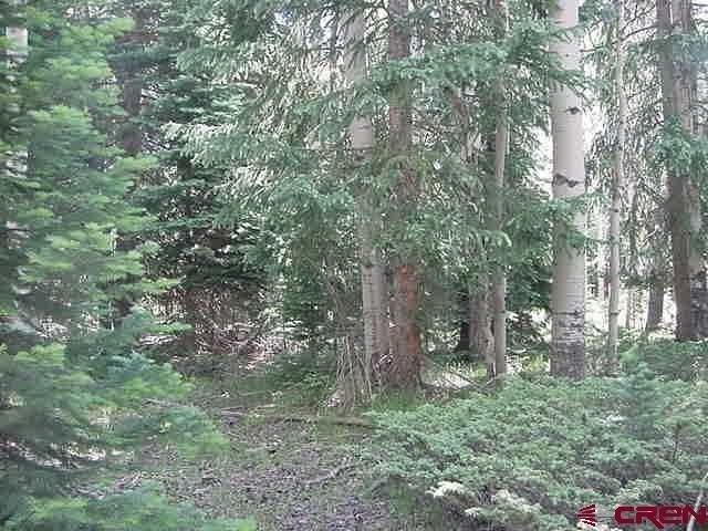 257 Wildflower Dr, Cimarron, CO 81220