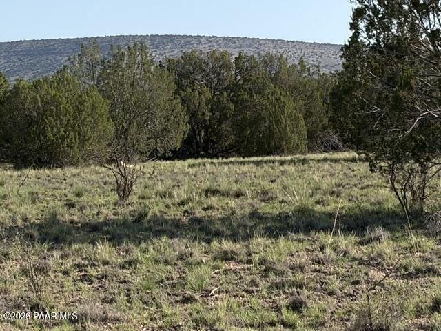 25840 W Granada Rd, Seligman, AZ 86337