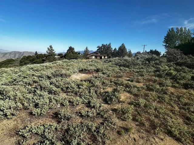 25840 Remington Court