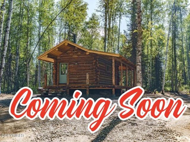 25842 W Southlake Dr, Willow, AK 99688