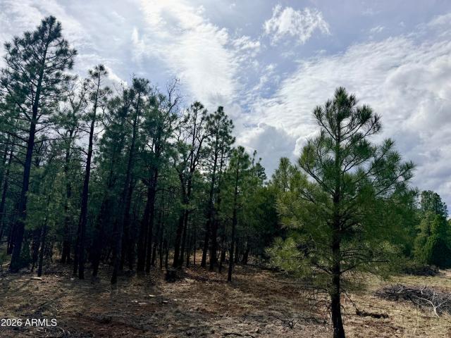 2588 Spoonbill Drive # 7