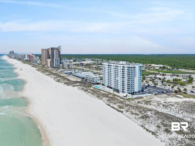 25800 Perdido Beach Boulevard 305