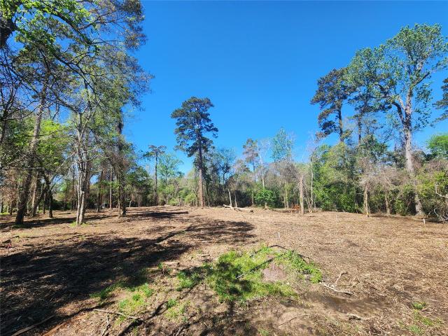 25810 Lakewater Dr, Huffman, TX 77336 | MLS #20724