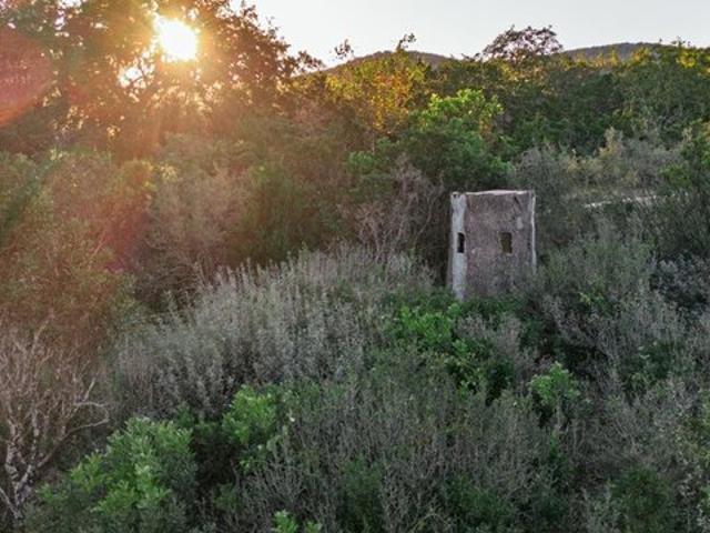2581 Patterson Creek Rd, Leakey, TX 78873