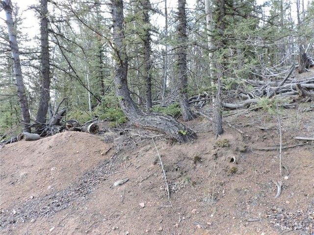 258 Old Squaw Rd Lot 84, Como, CO 80432