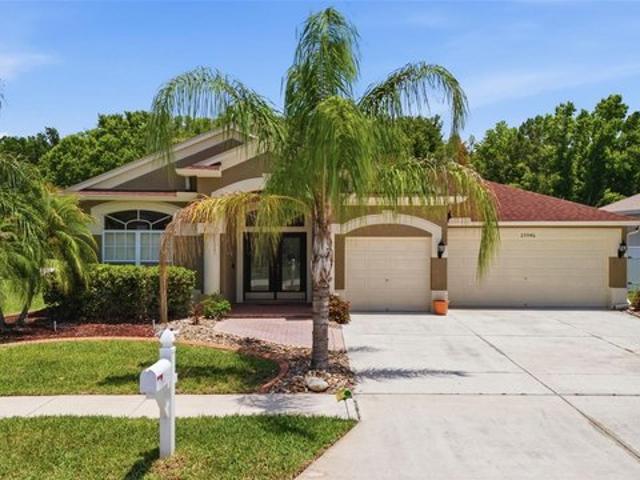 25946 Risen Star Dr, Wesley Chapel, FL 33544