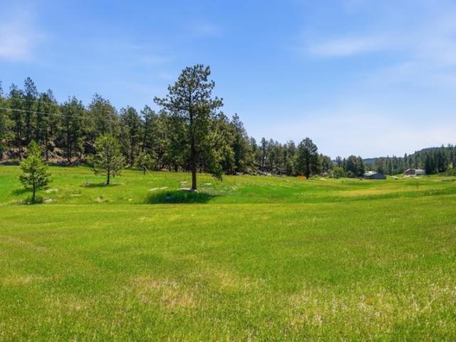 25966 Red Star Dr, Custer, SD 57730