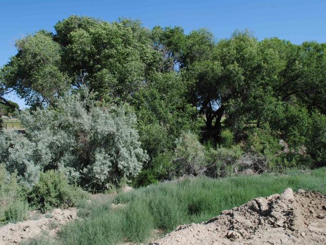 2596 Maroon Creek, Grand Junction, CO 81505 | MLS #20252