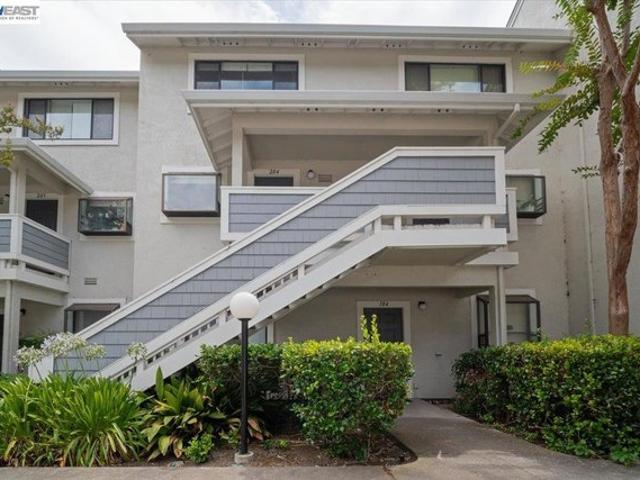 2598 Oak Rd Apt 284, Walnut Creek, CA 94597