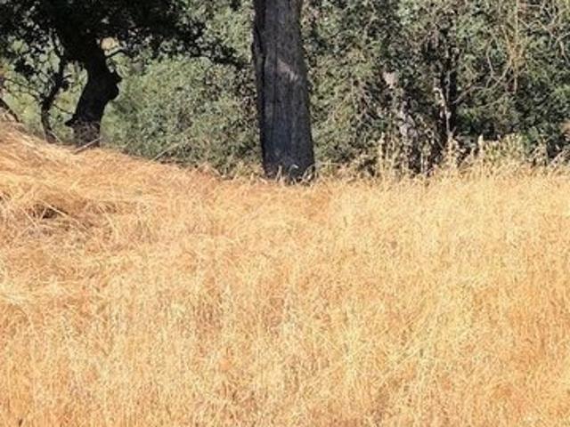 25900 Derrick Ct, Tehachapi, CA 93561
