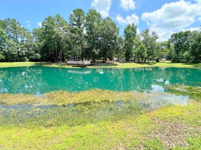 25920 Grand Pines Rd, Magnolia, TX 77355