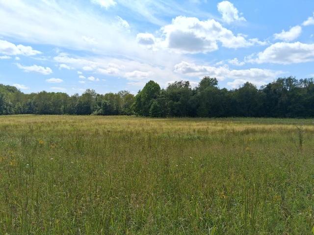 25922 Shurtz Road