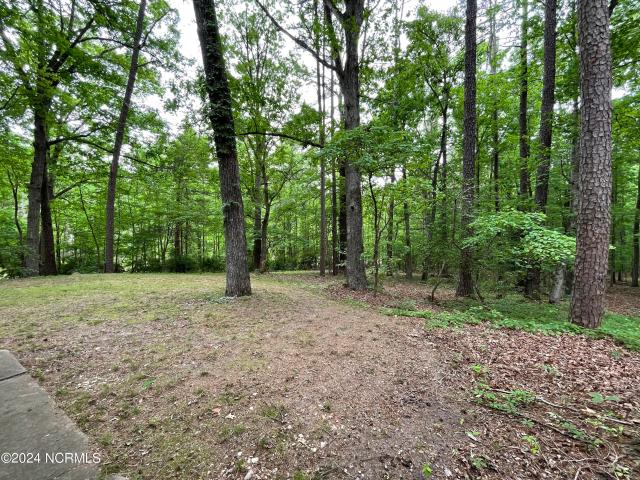 2592 Old Glendon Rd, Carthage, NC 28327 | MLS #100442