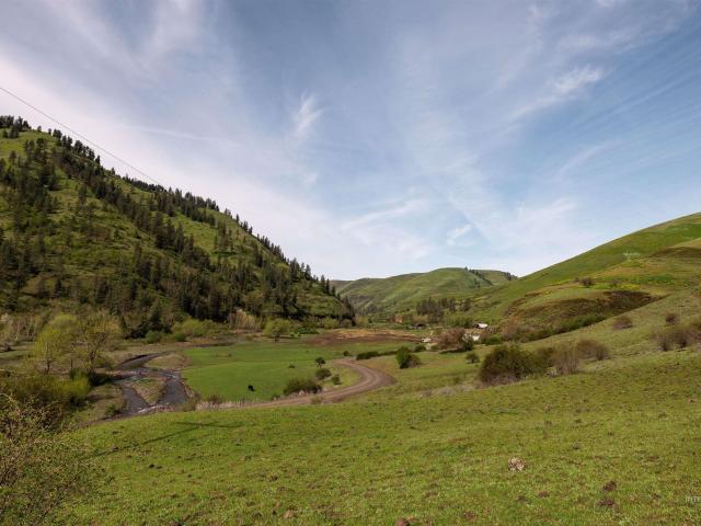 259 Cottonwood Creek Ranch