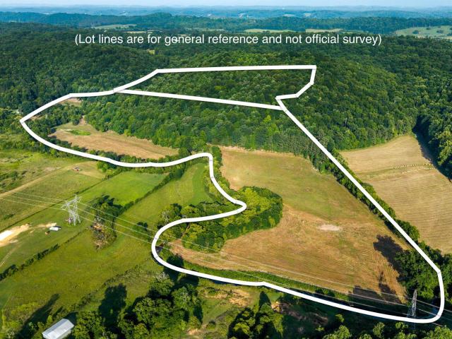259 County Road 60