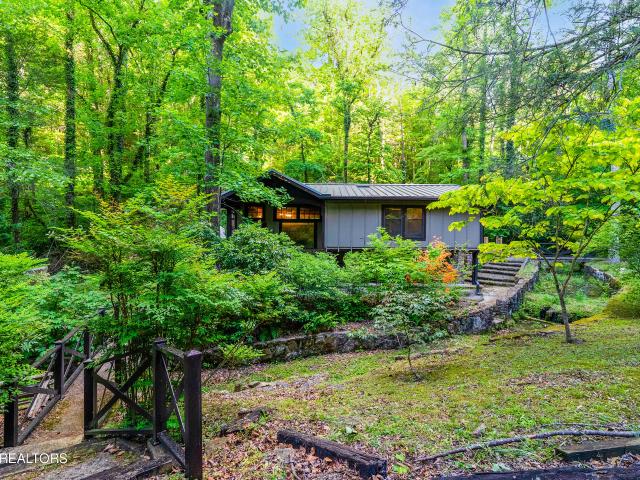 259 Black Mash Hollow Rd, Townsend, TN 37882 | MLS #1328