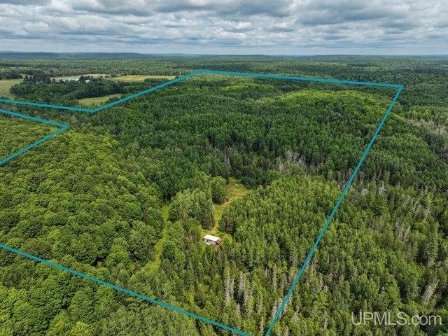 259 Kalla Walla Trl, Crystal Falls, MI 49920