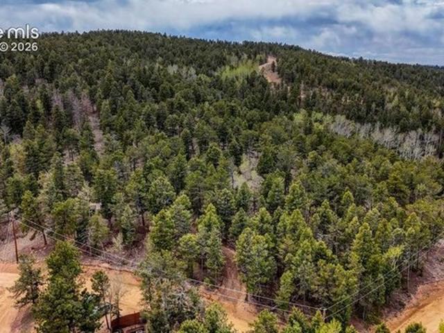 259 Potlatch Trl, Woodland Park, CO 80863