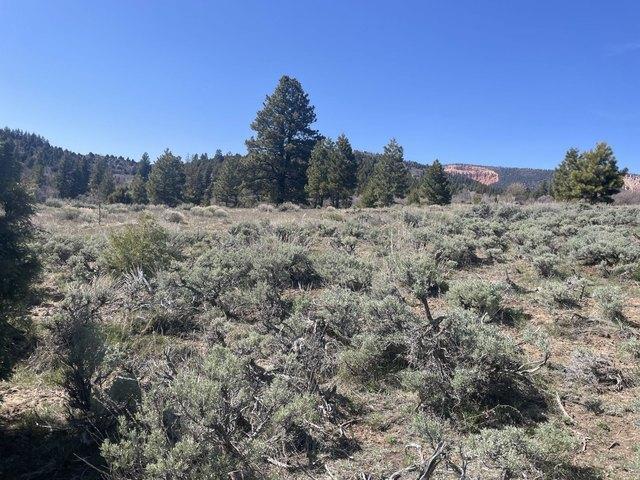 259 W Turkey Cir, Duck Creek Village, UT 84762