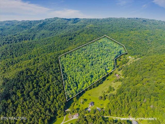 259 Walden Hollow Lane