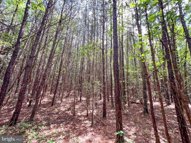 25.5 Acres Ladysmith