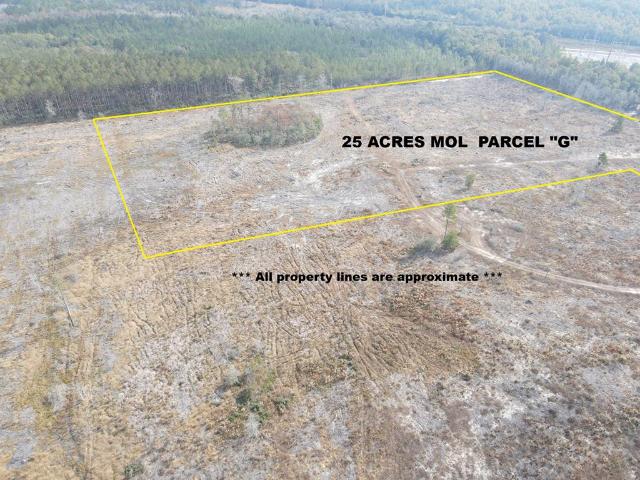 25.29 Acres Hwy 87