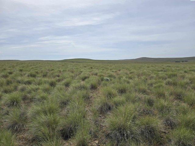25 Turpin Rd Lot 5, Mabton, WA 98935