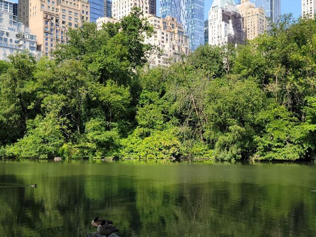 25 West 64th Street, New York, NY