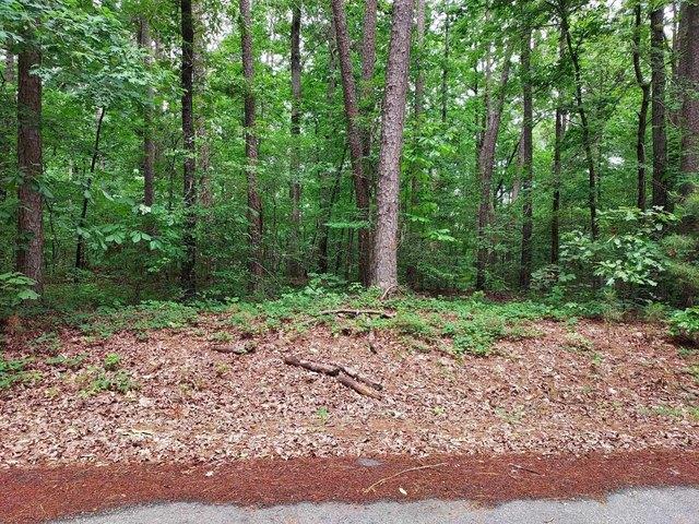 25 Zapato Way, Hot Springs Village, AR 71909