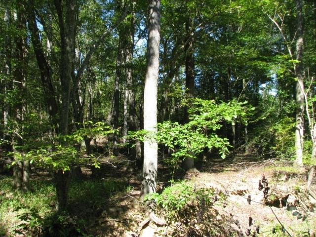 25 Ac Brandon Road