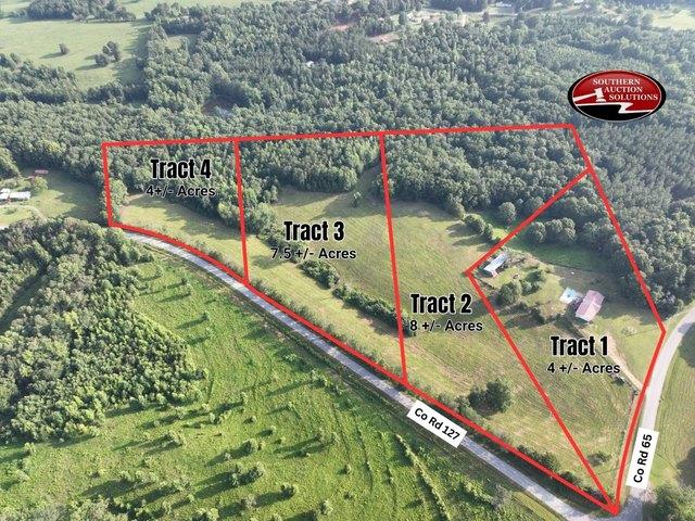25 Acres County Road 65, AL 36274