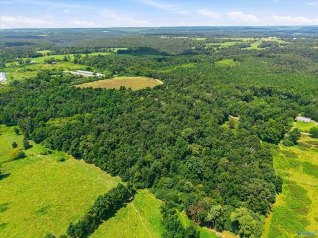 25 acres County Road 3