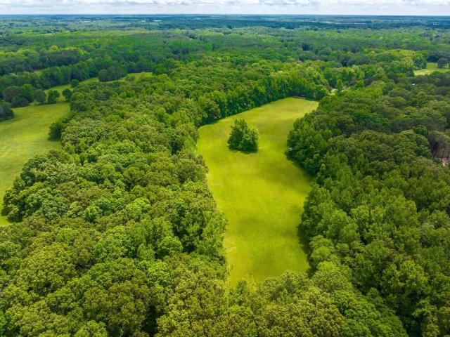 25 acres dogwood rd